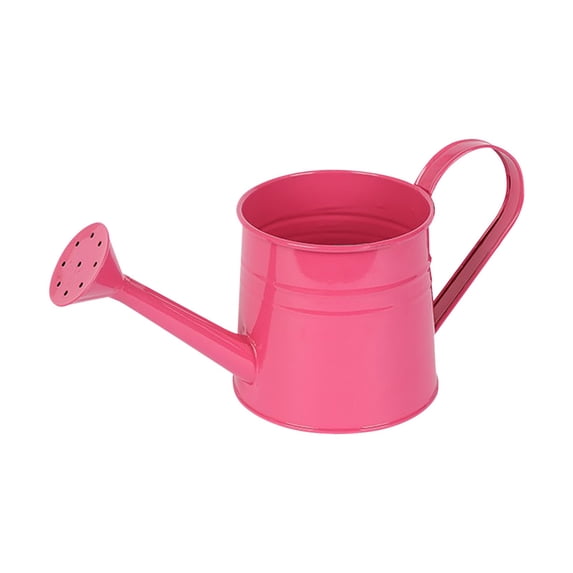 Paintable Flower Pots,Metal Watering Can, Galvanized Shower Bucket ...