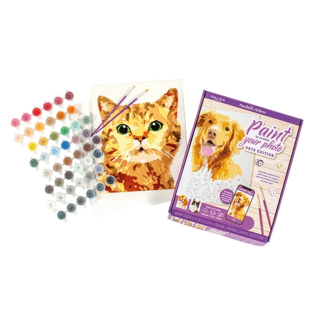 Customizable Paint By Number Kit: Easy for Adults | Paint Your Pet with ...