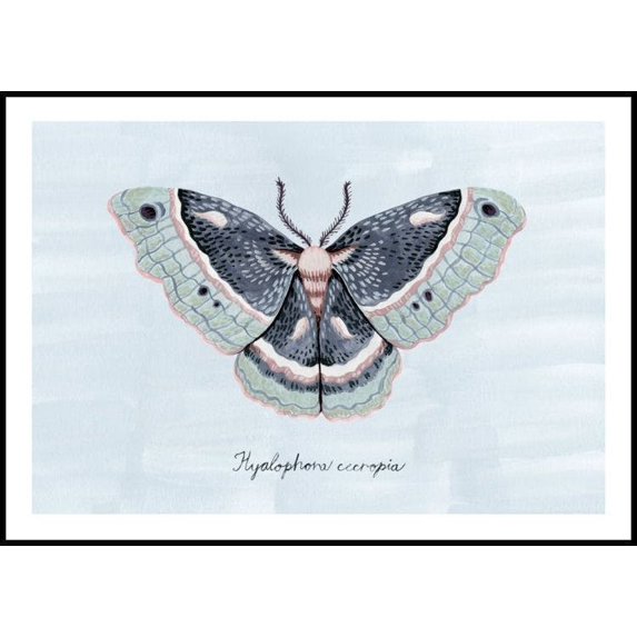 Painted Moth Poster Wall Art, Modern Wall Decor For Living Room Bedroom ...
