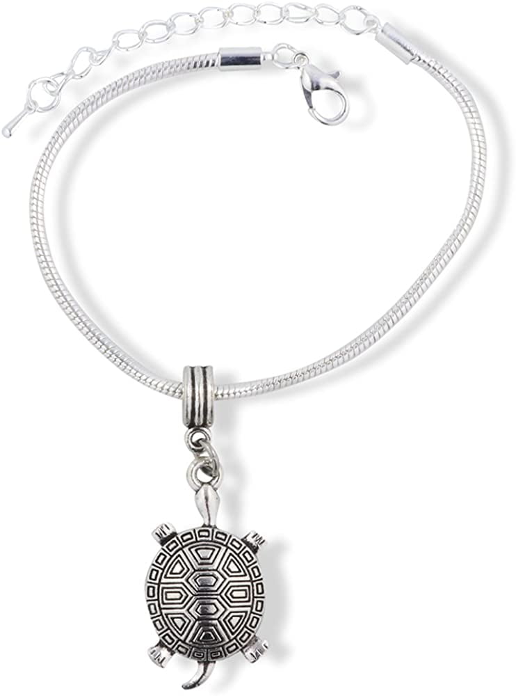 Painted Turtle Dots for Eyes Four Toes Snake Chain Charm Bracelet ...