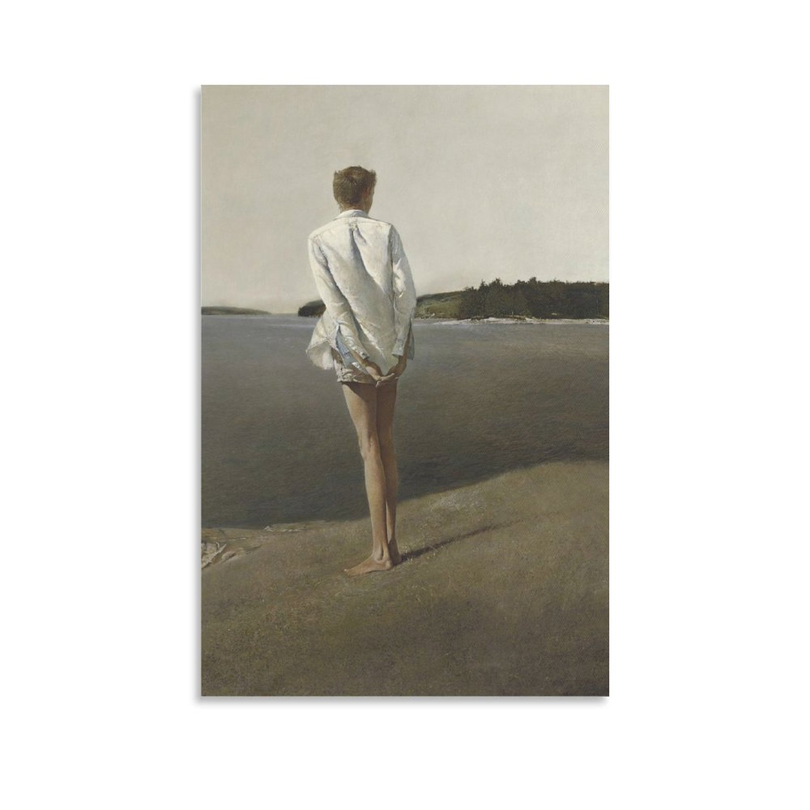 Painter Andrew Wyeth Artwork Poster Painting On Canvas Wall Art Poster ...