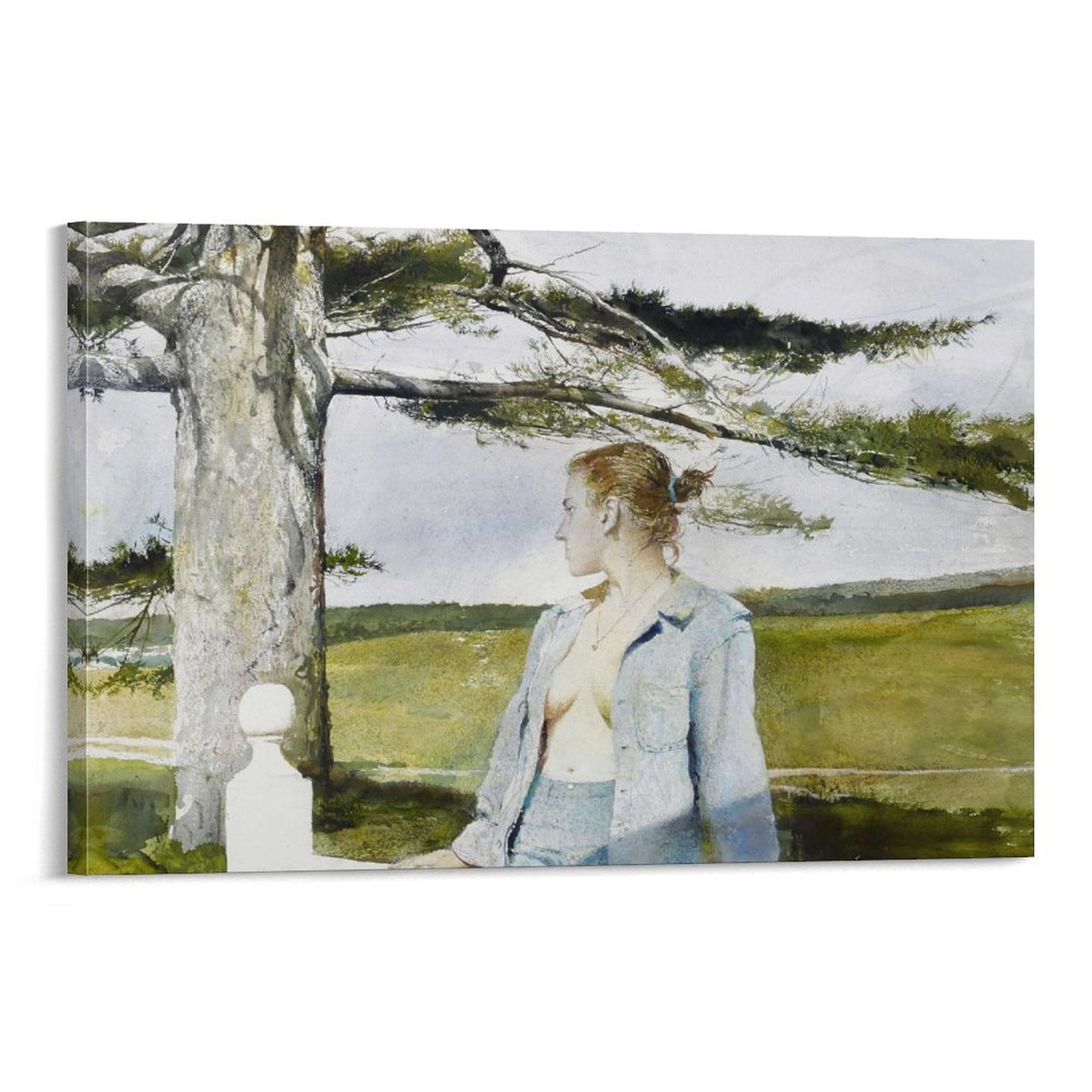 Painter Andrew Wyeth Work Women Poster Painting On Canvas Wall Art ...