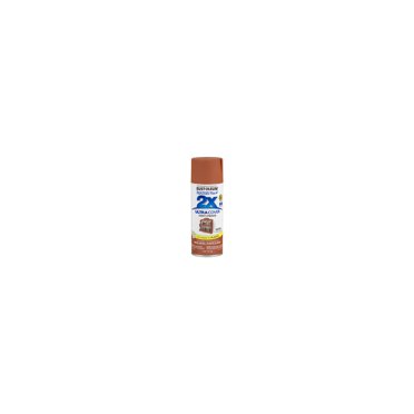 Rust-Oleum 249077 Painter's Touch Multi Purpose Spray Paint, 12-Ounce ...