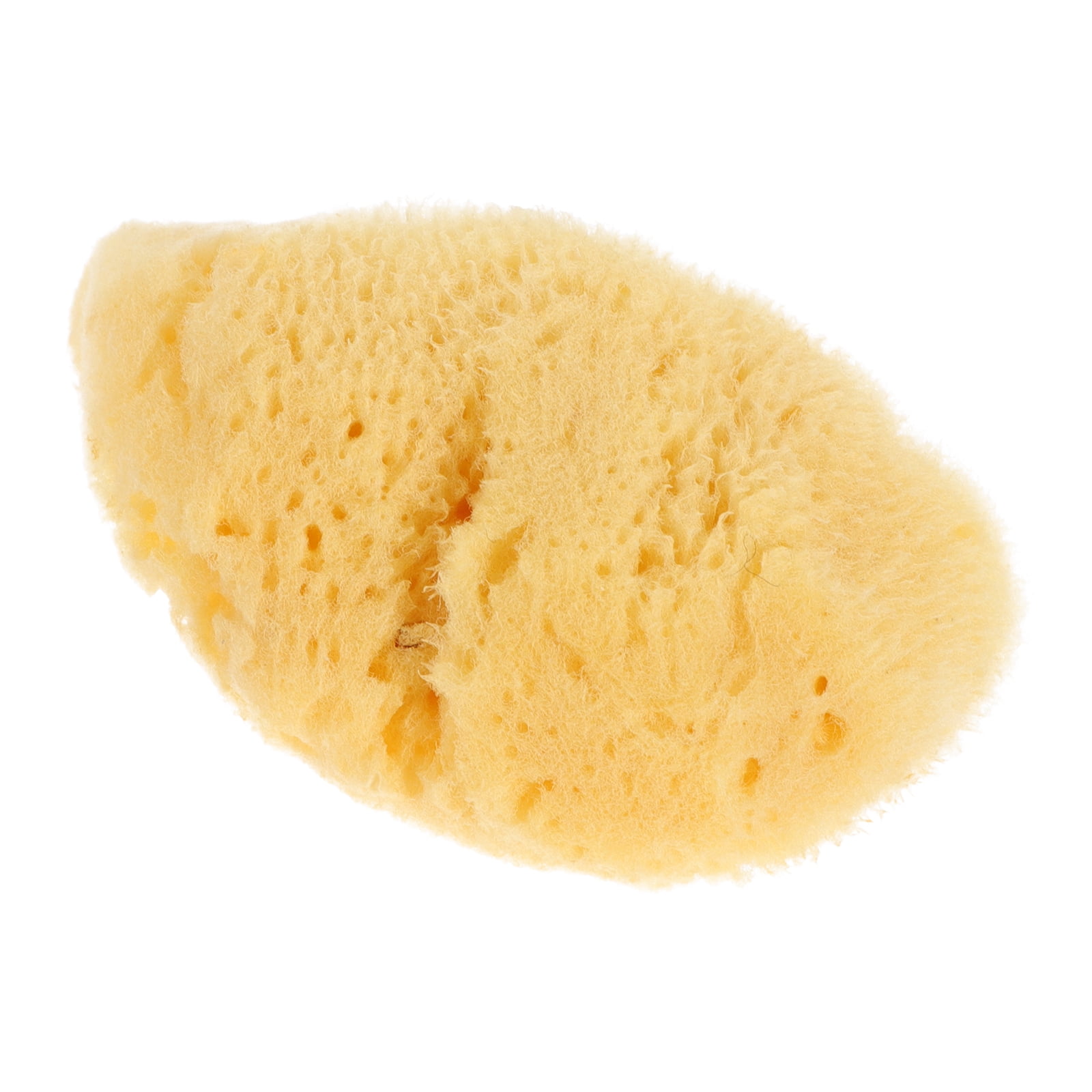 HOMEMAXS Artist Sponge Watercolor Sponge for Children Art Painting ...