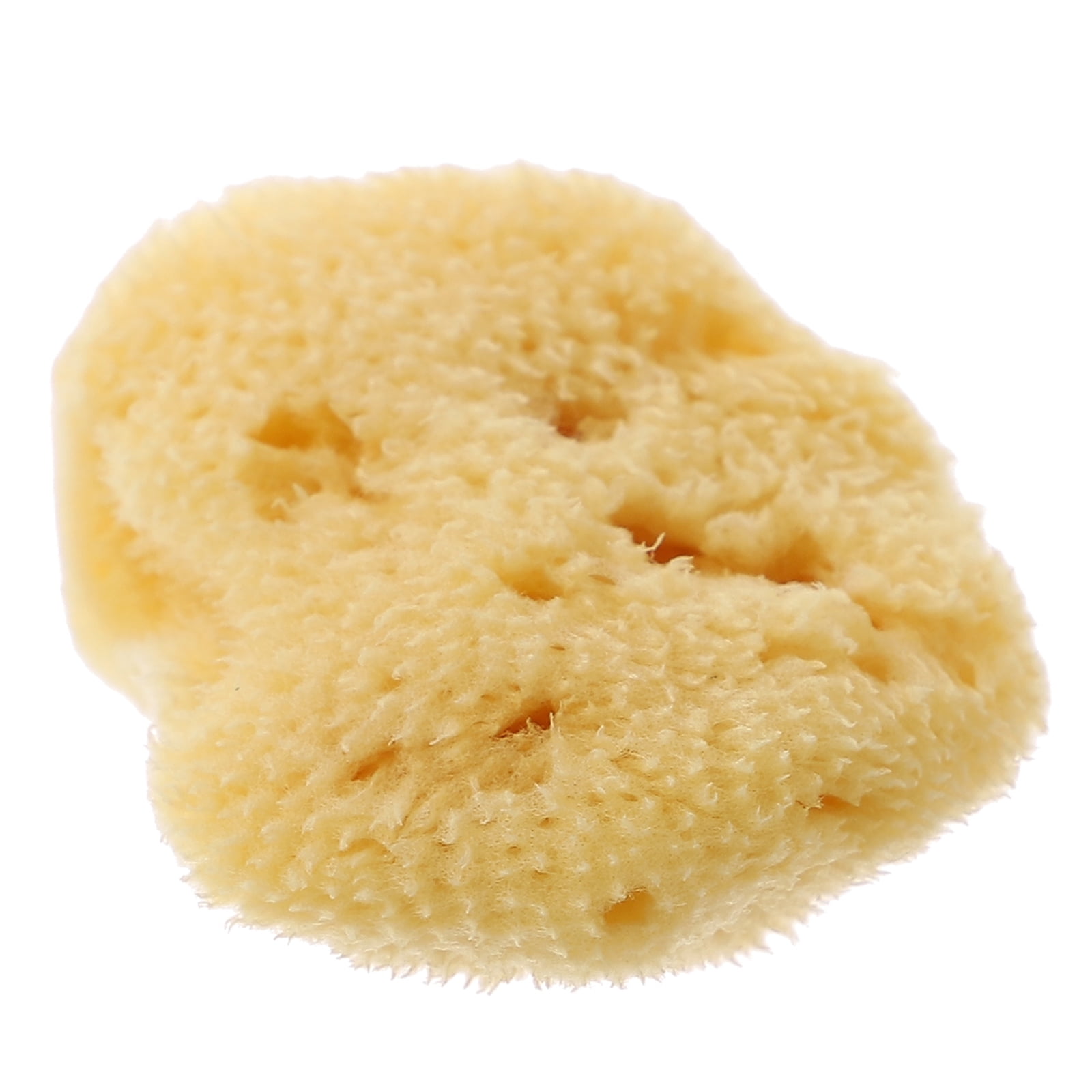 Painting Texture Sponge Paint Tools Drawing Sponge Face Trim Removal ...