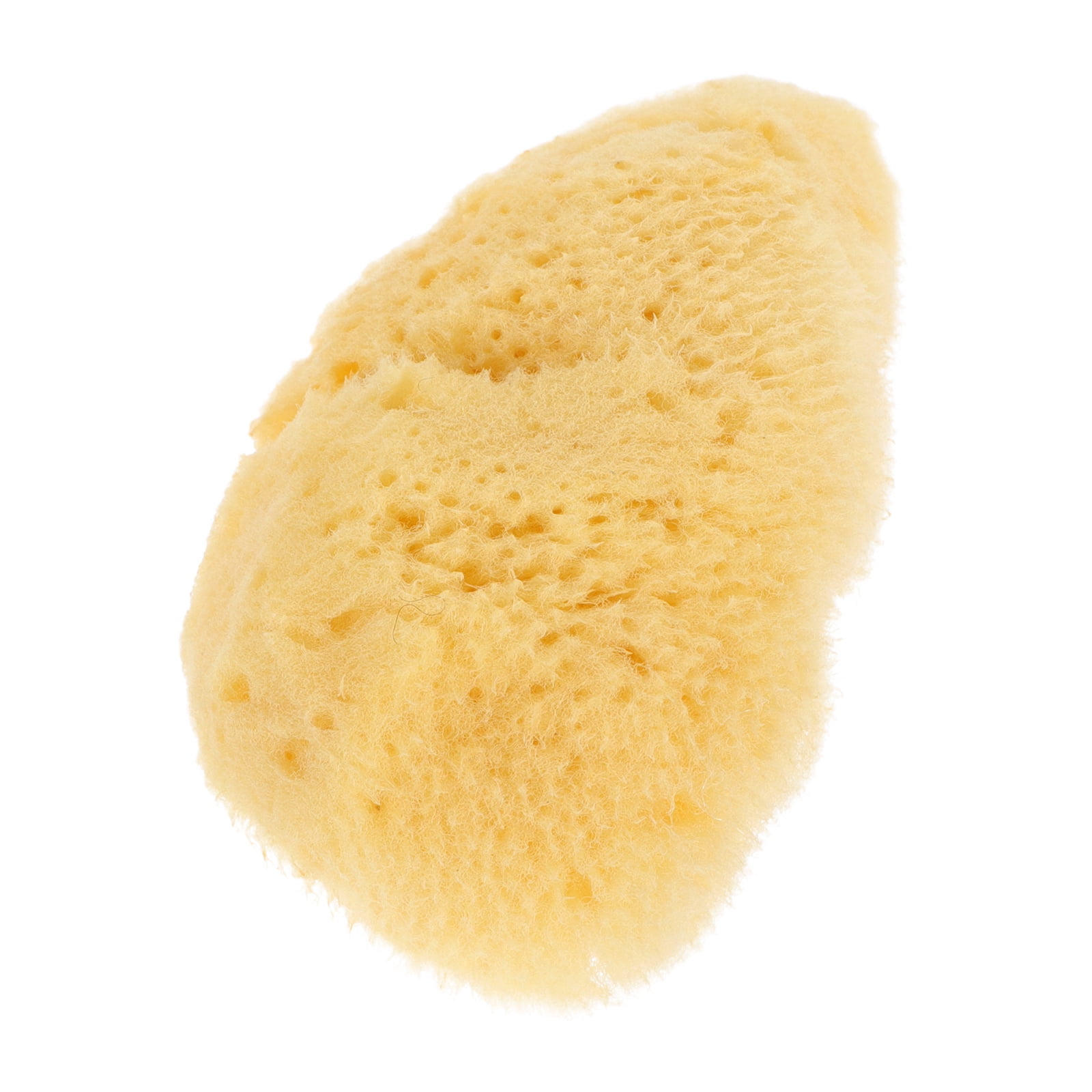 Natural Art Sponge for Watercolor Graffiti with Random Shape 1 Set ...