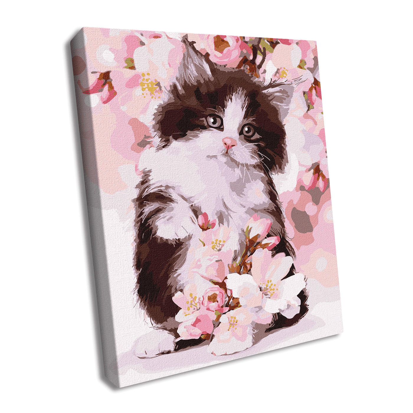 Painting by Numbers kit Fluffy kitten KHO4383 - Walmart.com