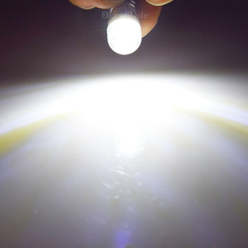 Pair E10 1447 LED Flashlight Bulb Lamp 3V 6V Led Bulb Replacement ...