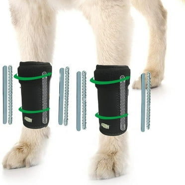 LYUMO 1 Pair Dog Front Leg Braces Stabilizer Neoprene Front Leg ...