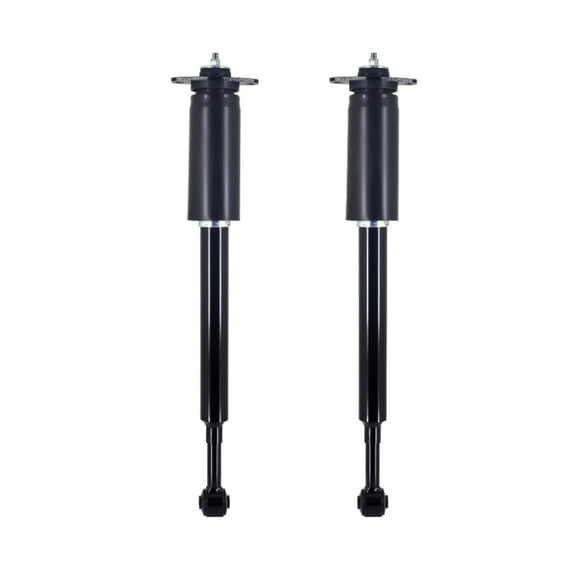 Chrysler 300 Shock Absorber Assembly Kit