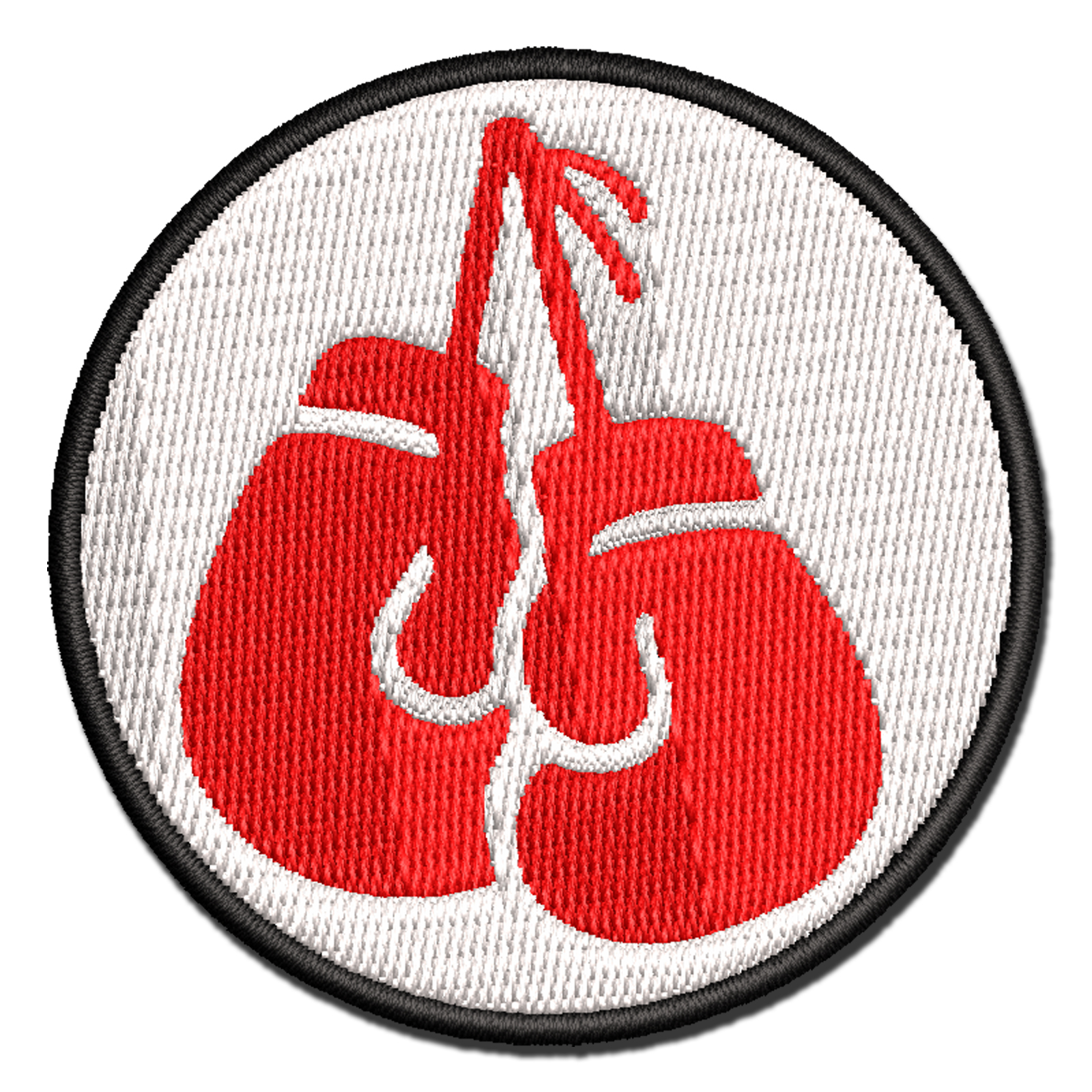 Pair of Boxing Gloves Hanging Applique Multi-Color Embroidered Iron-On ...