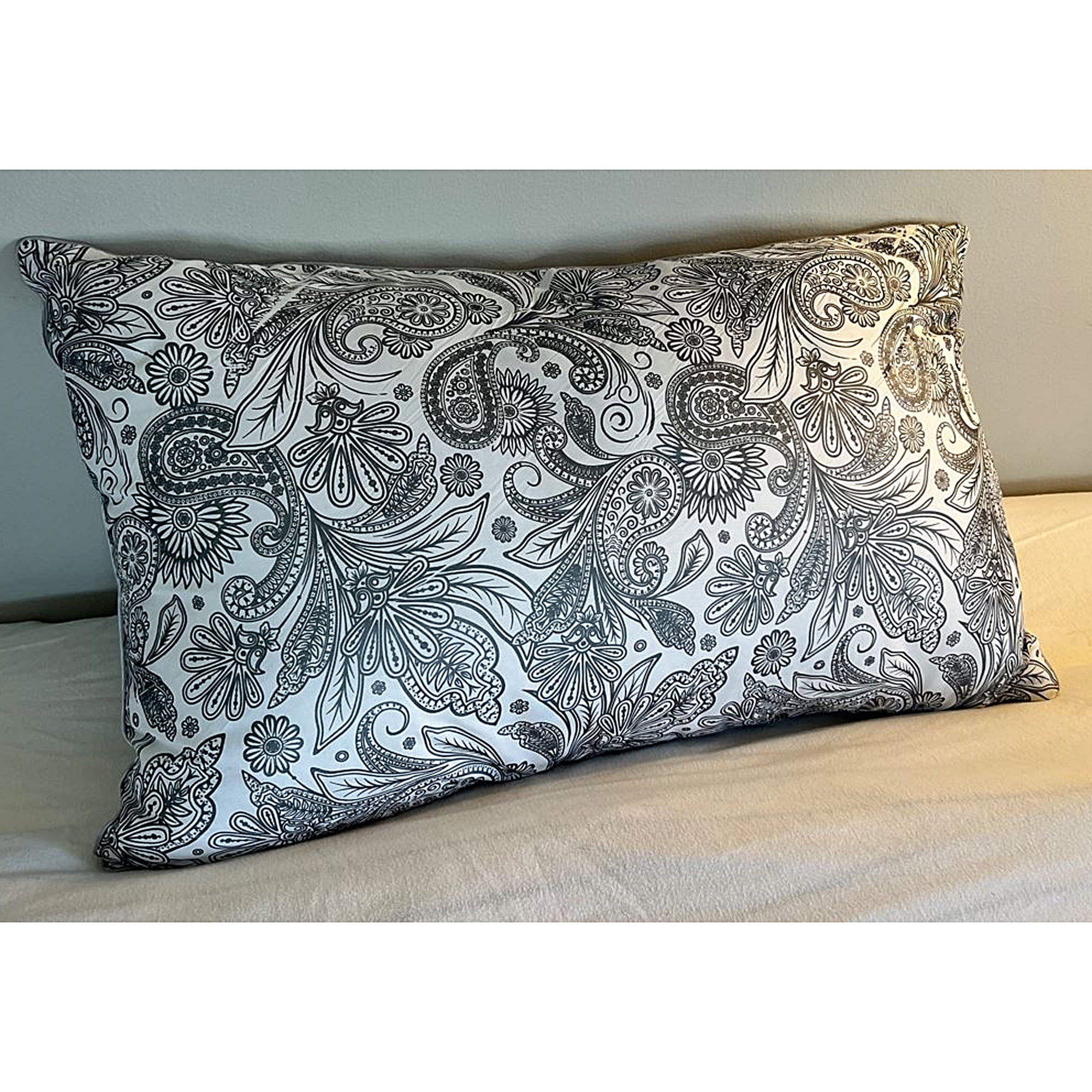 Paisley Pattern 2 PACK Chic Throw Pillows - Stylish and Comfortable ...
