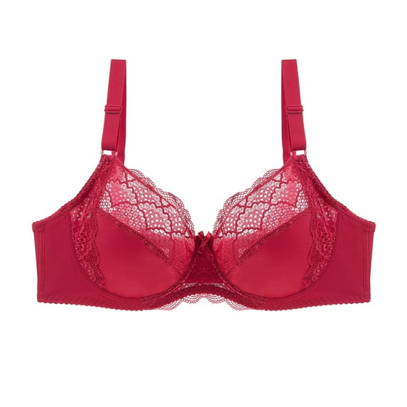 Paiwinds Women's Lace Underwire Bra for Fuller Cups - Plus Size ...