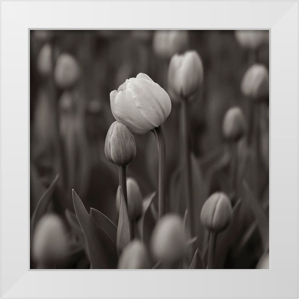 Pajic, Samir 20x20 White Modern Wood Framed Museum Art Print Titled - A ...
