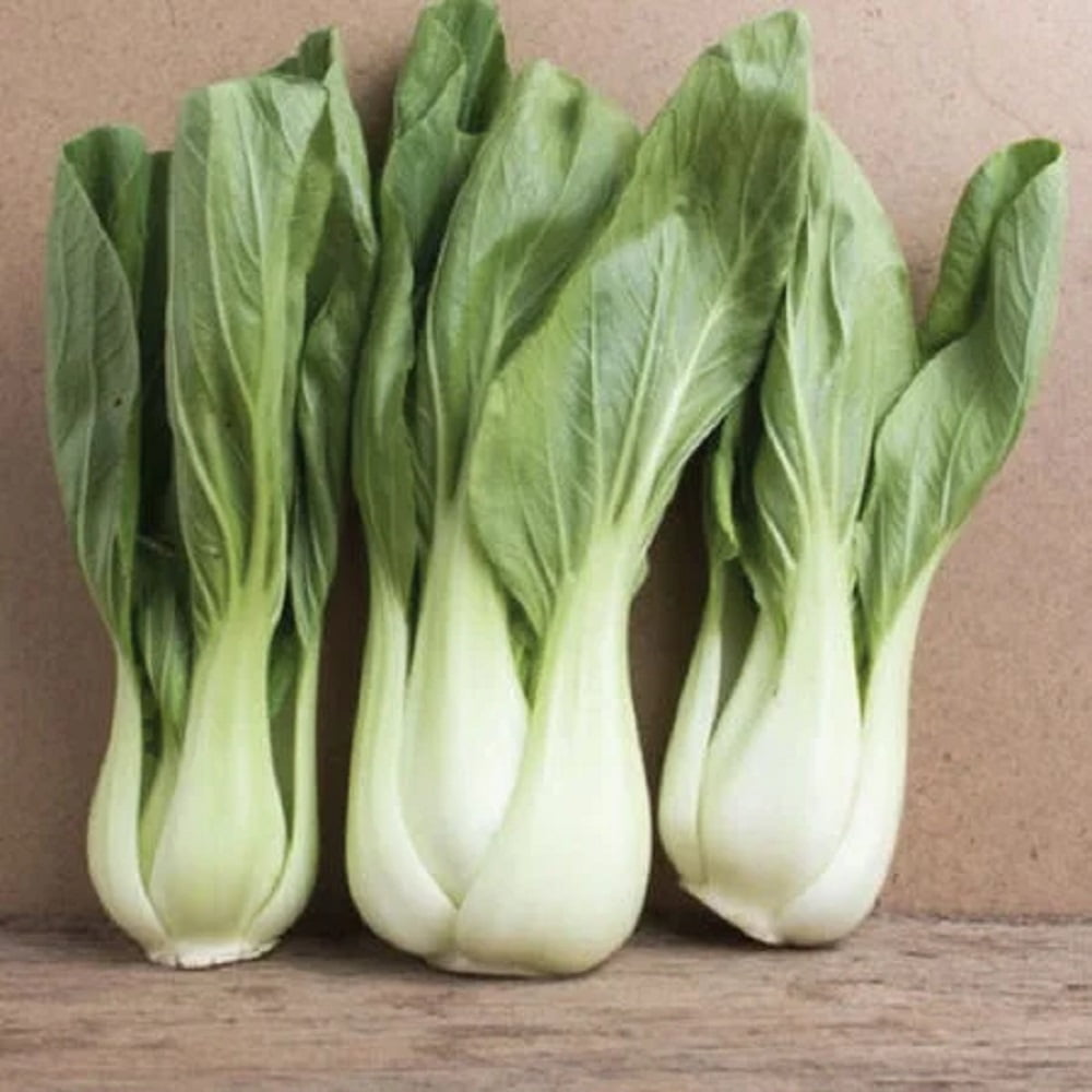 Pak Choi, White Stem Cabbage Seeds - 200 Seeds, Crisp, Tender, Asian ...