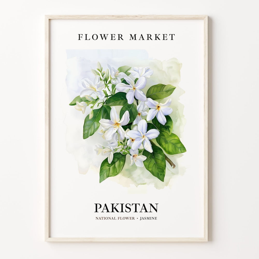 Pakistan National Flower Art Print, Jasmine 1960'S Wall Art, Neutral ...