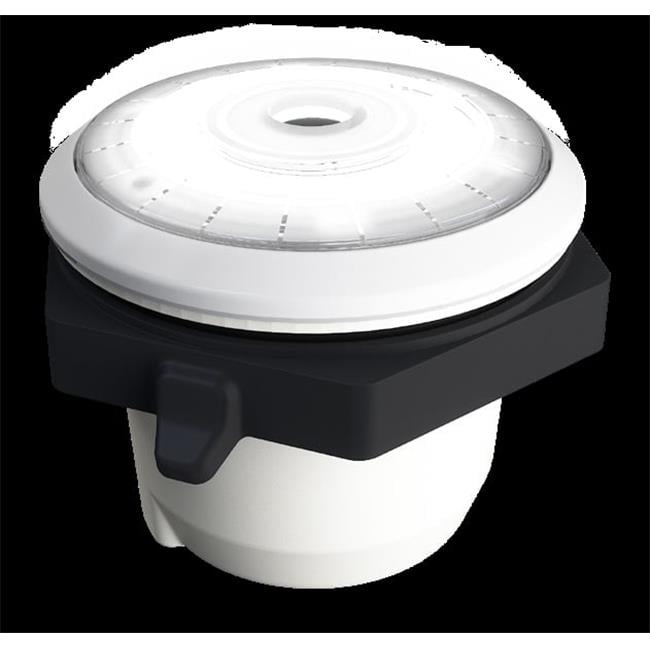 Pal Lighting 64EGBFVS150 Evenglow Multi Color LED 150 ft. Bubbler for ...