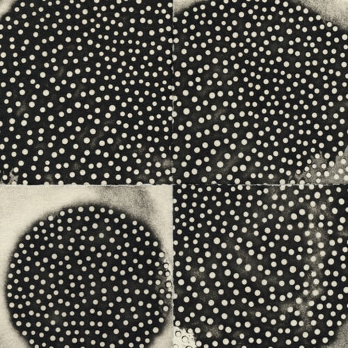 K. Leimer - Proximate Forms - Music & Performance - CD - Walmart.com