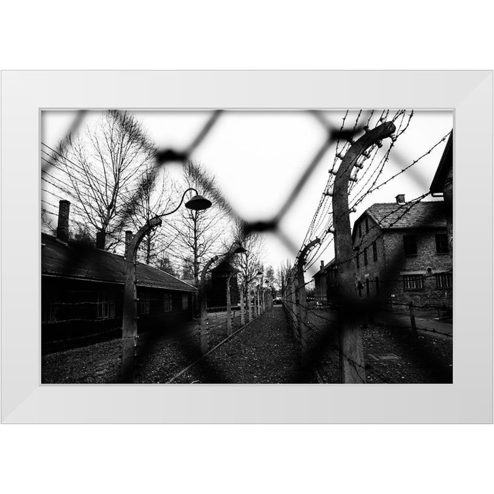 Palacios Prieto, Javier 24x17 White Modern Wood Framed Museum Art Print ...