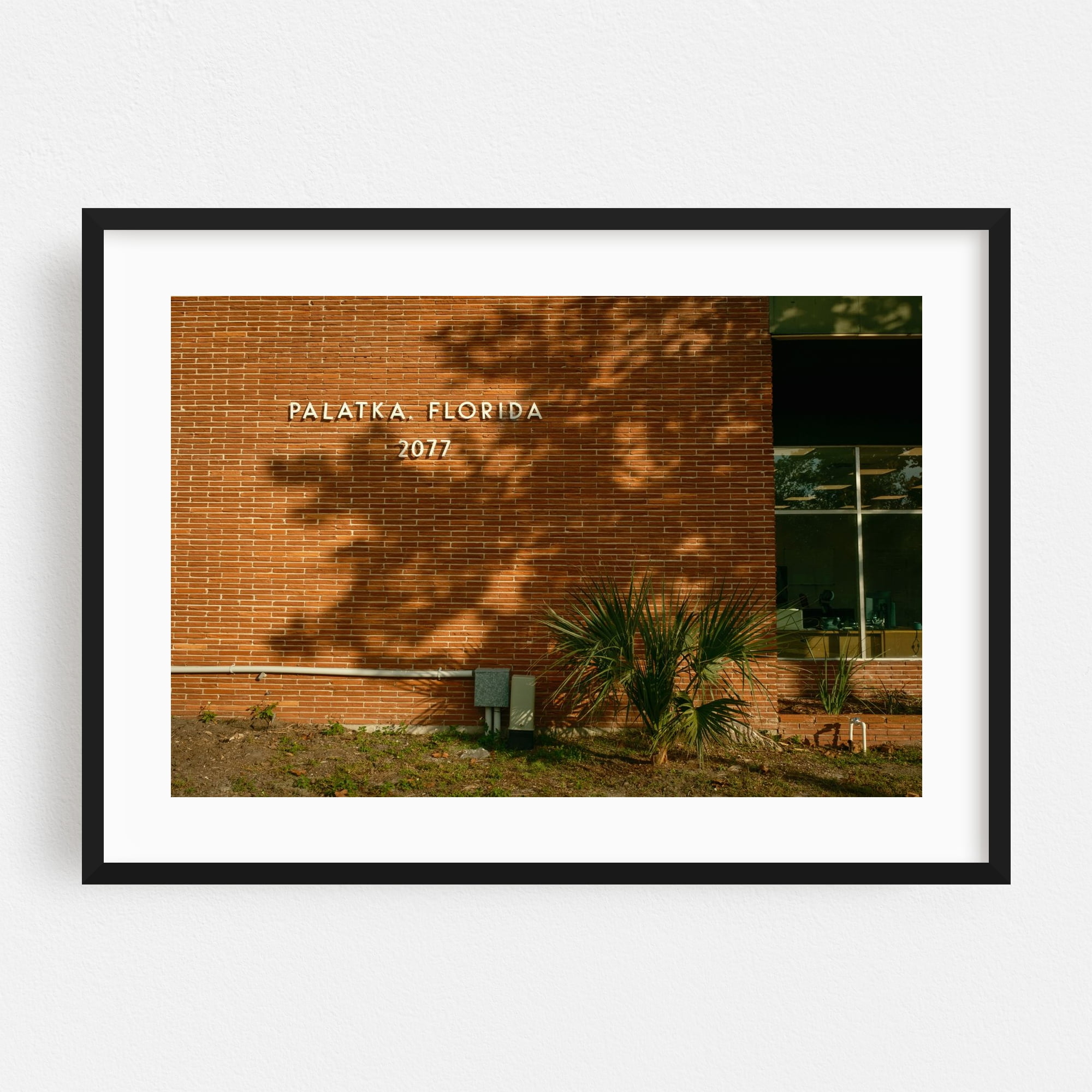 Palatka Post Office - Palatka Florida Photography Architecture Palm ...