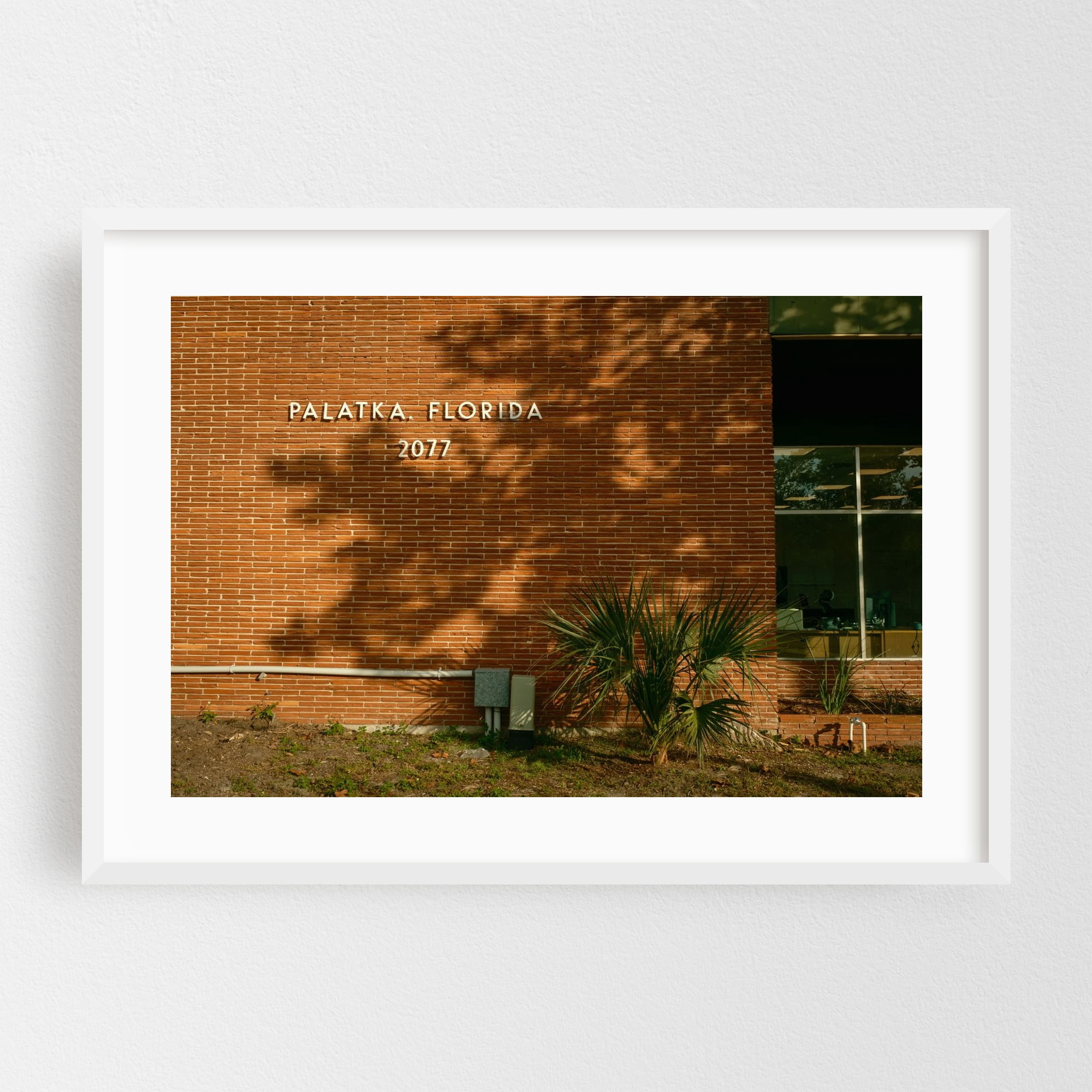 Palatka Post Office - Palatka Florida Photography Architecture Palm ...