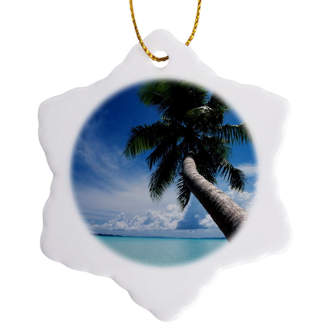 3drose, Palau, Micronesia, Palm Tree at Palau Lagoon, 3 inch Snowflake ...