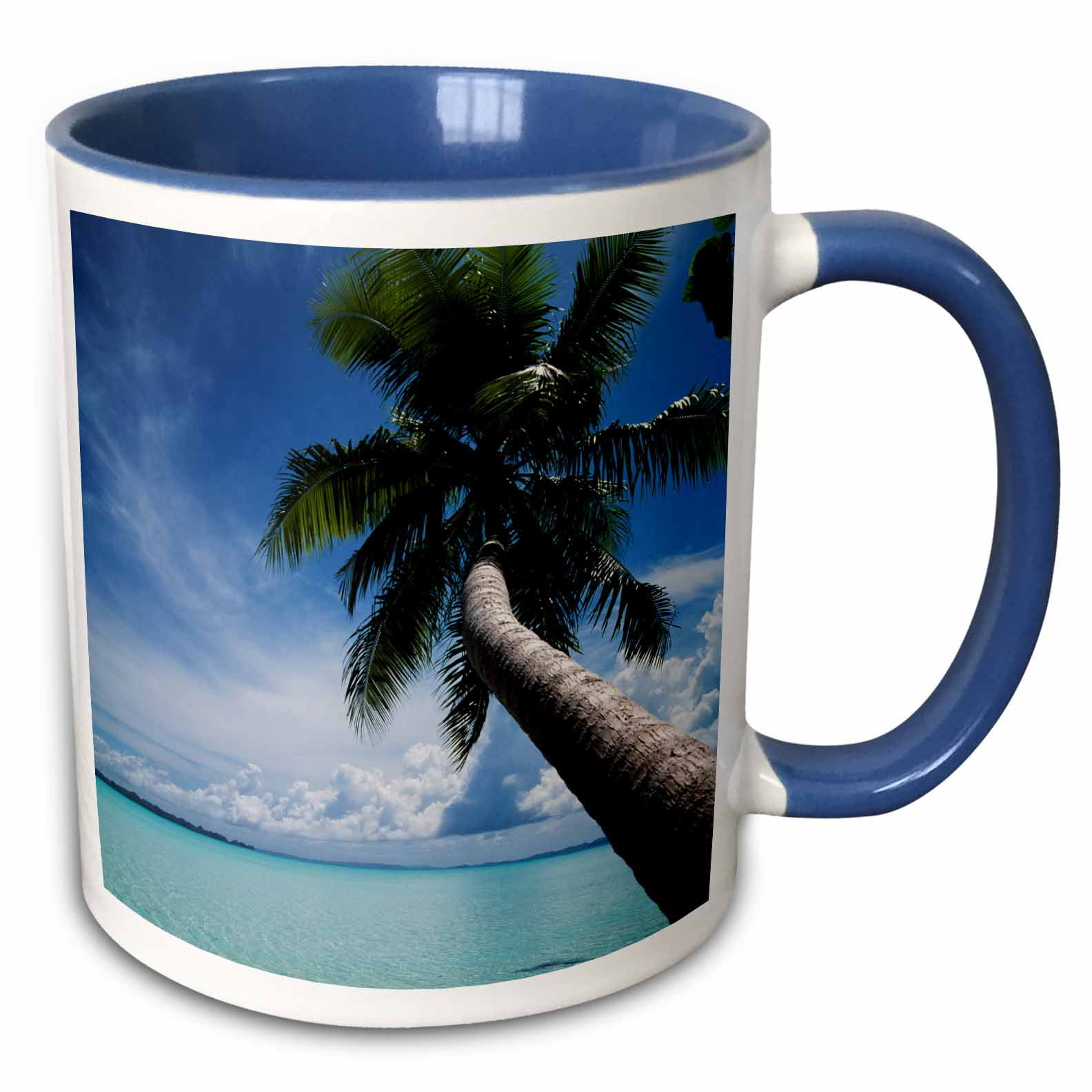 Palau, Micronesia, Palm tree at Palau Lagoon 11oz Two-Tone Blue Mug mug ...