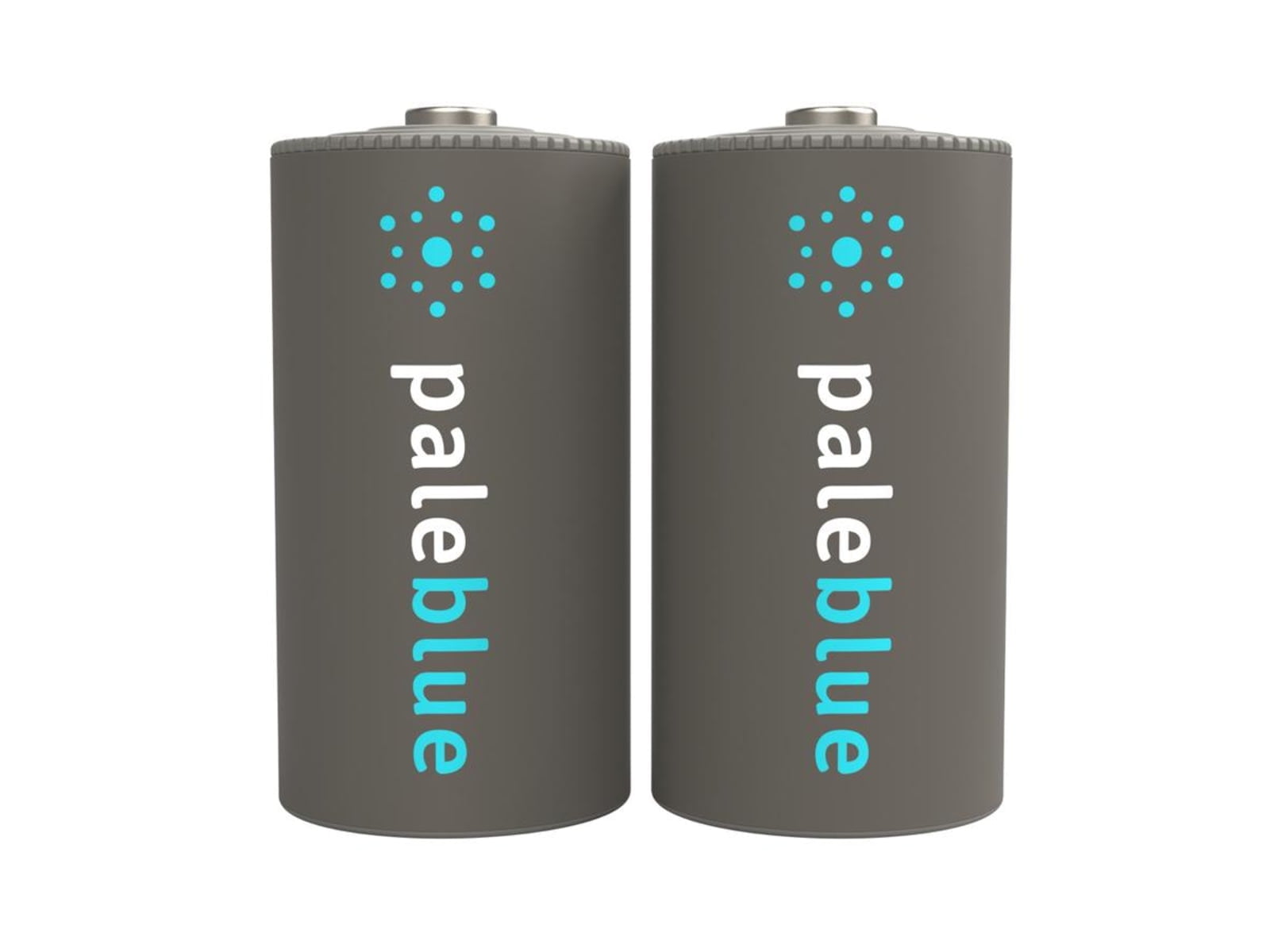 Pale Blue Earth Lithium Ion Rechargeable C Batteries, USB Charging ...