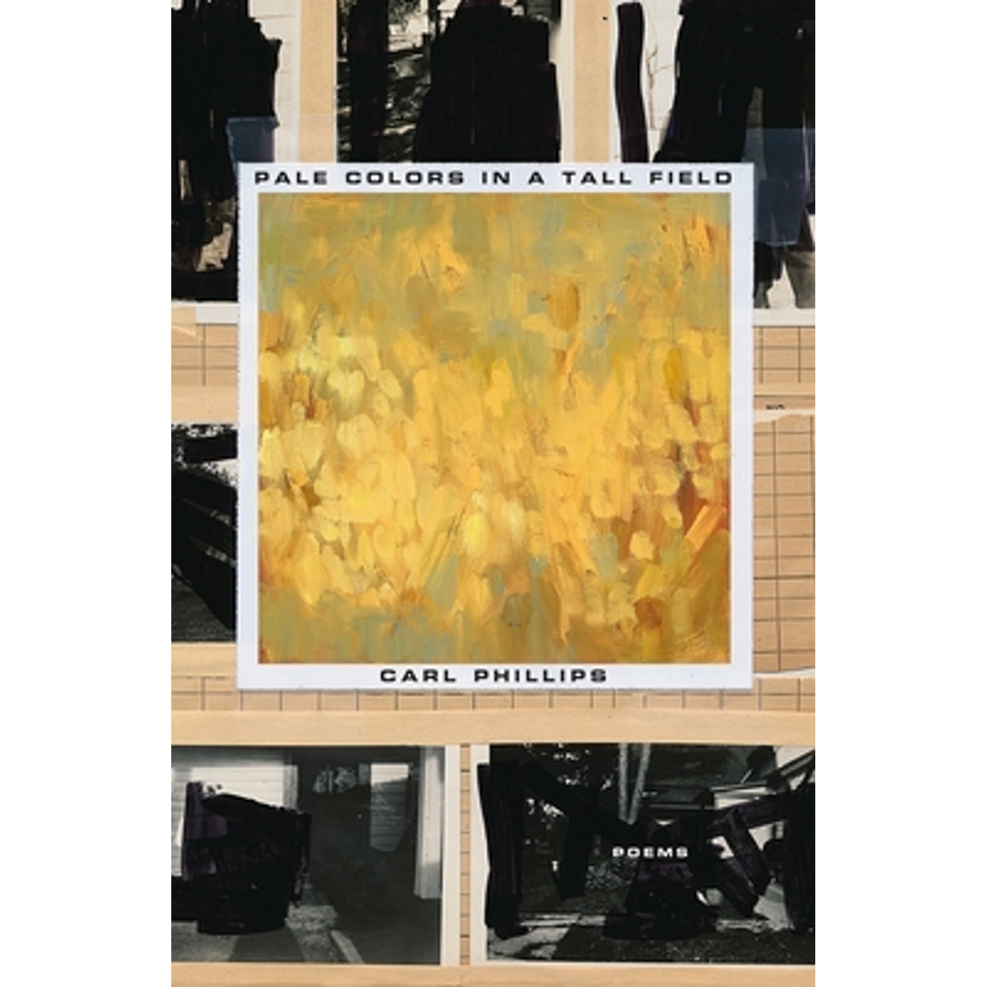 Pre-Owned Pale Colors in a Tall Field: Poems (Hardcover 9780374229054 ...