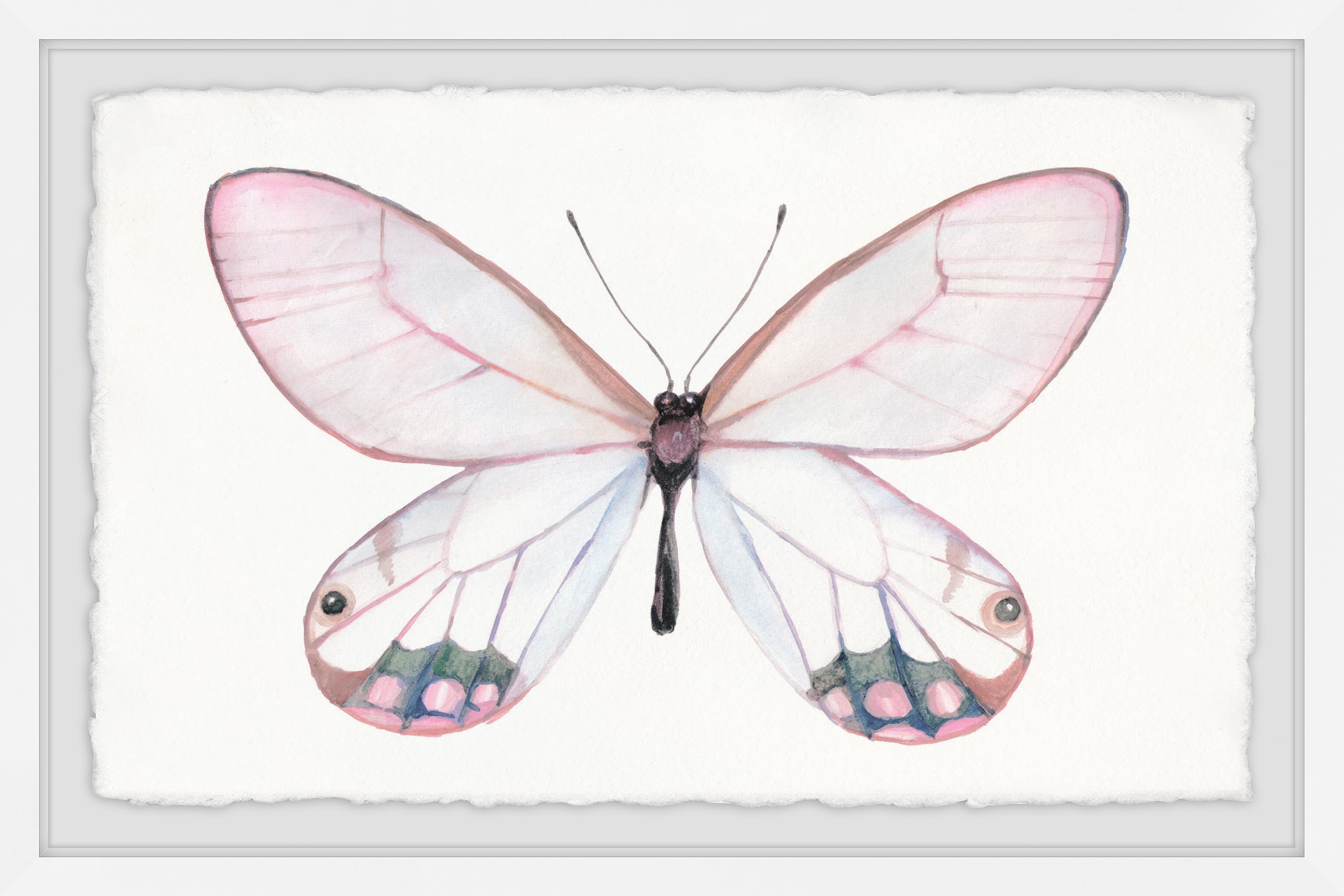 Pale Pink Butterfly Framed Painting Print - Walmart.com