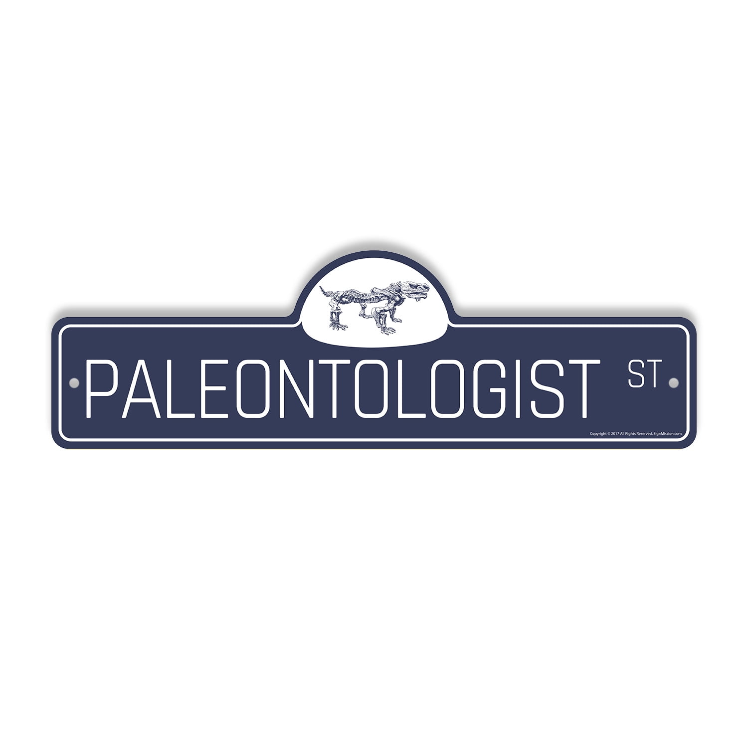 Paleontologist Plastic Street Sign - 7 Inch X 20 Inch Gift Science ...