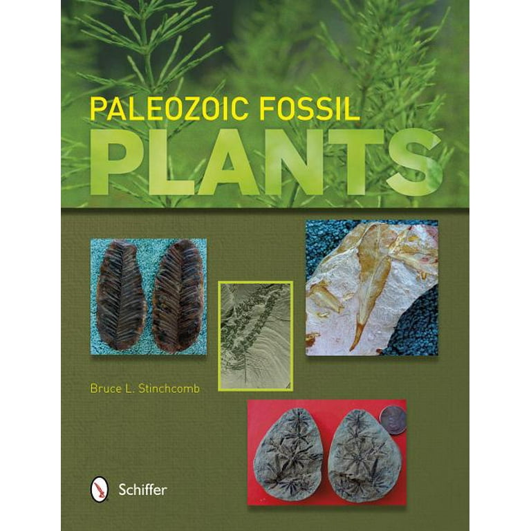 Paleozoic Plants