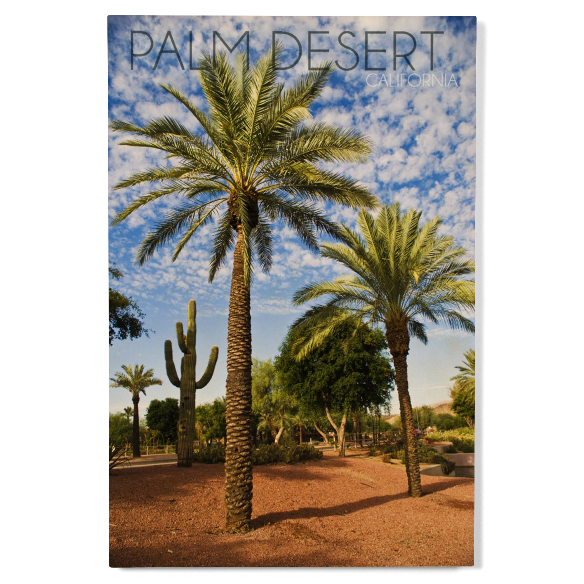 Palm Desert, California, Palm Trees and Cactus Birch Wood Wall Sign ...