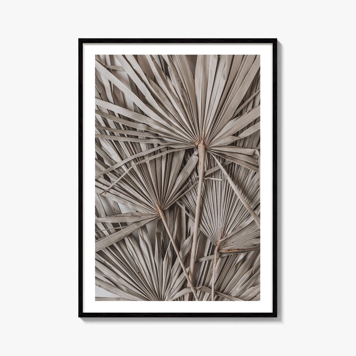 Palm Leaf Fine Art Photo Print Tropical Botanical Wall Art Minimalist ...