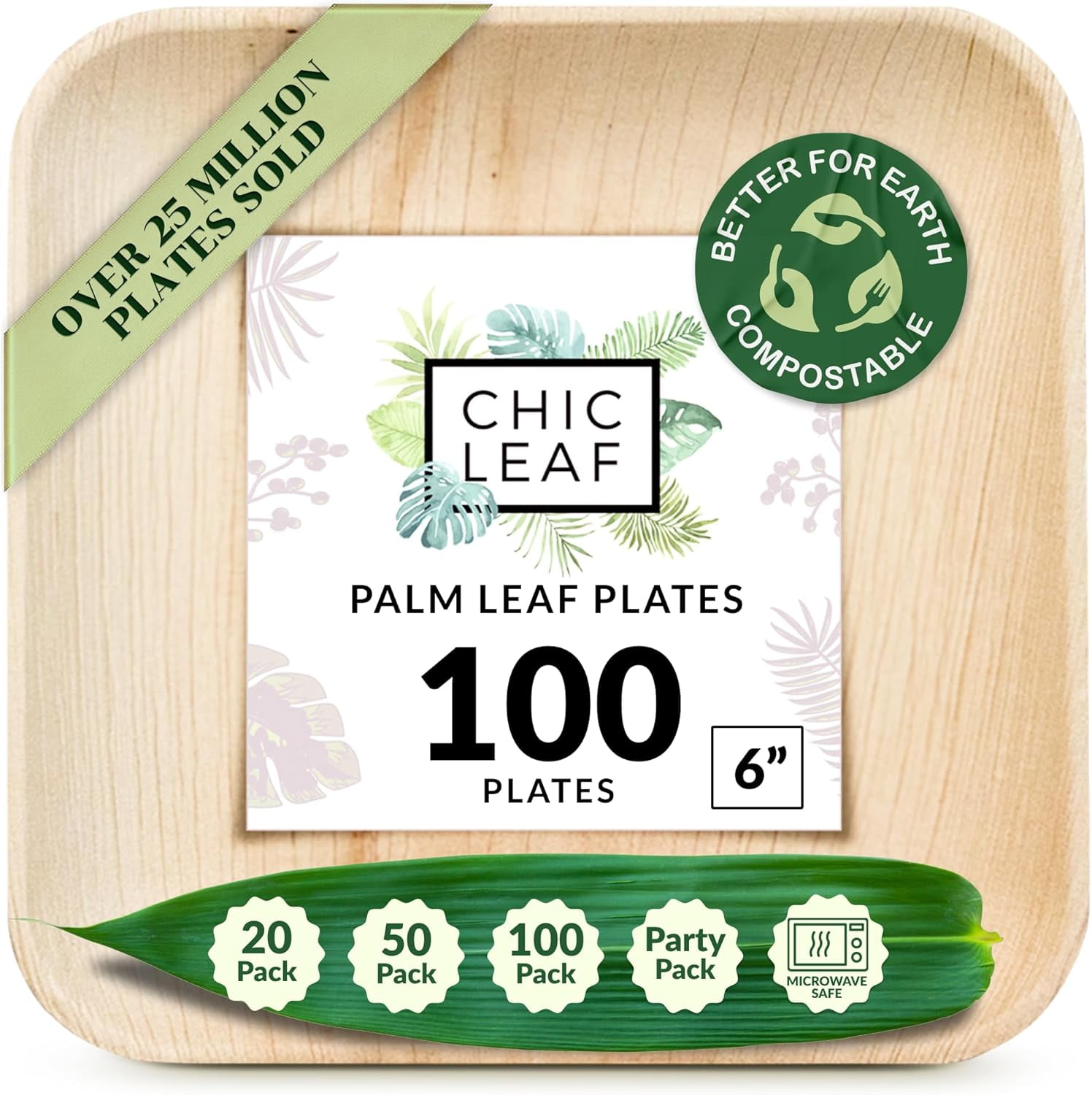 Palm Leaf Plates Like Bamboo Plates Disposable 6 Inch Square Bulk (100 ...