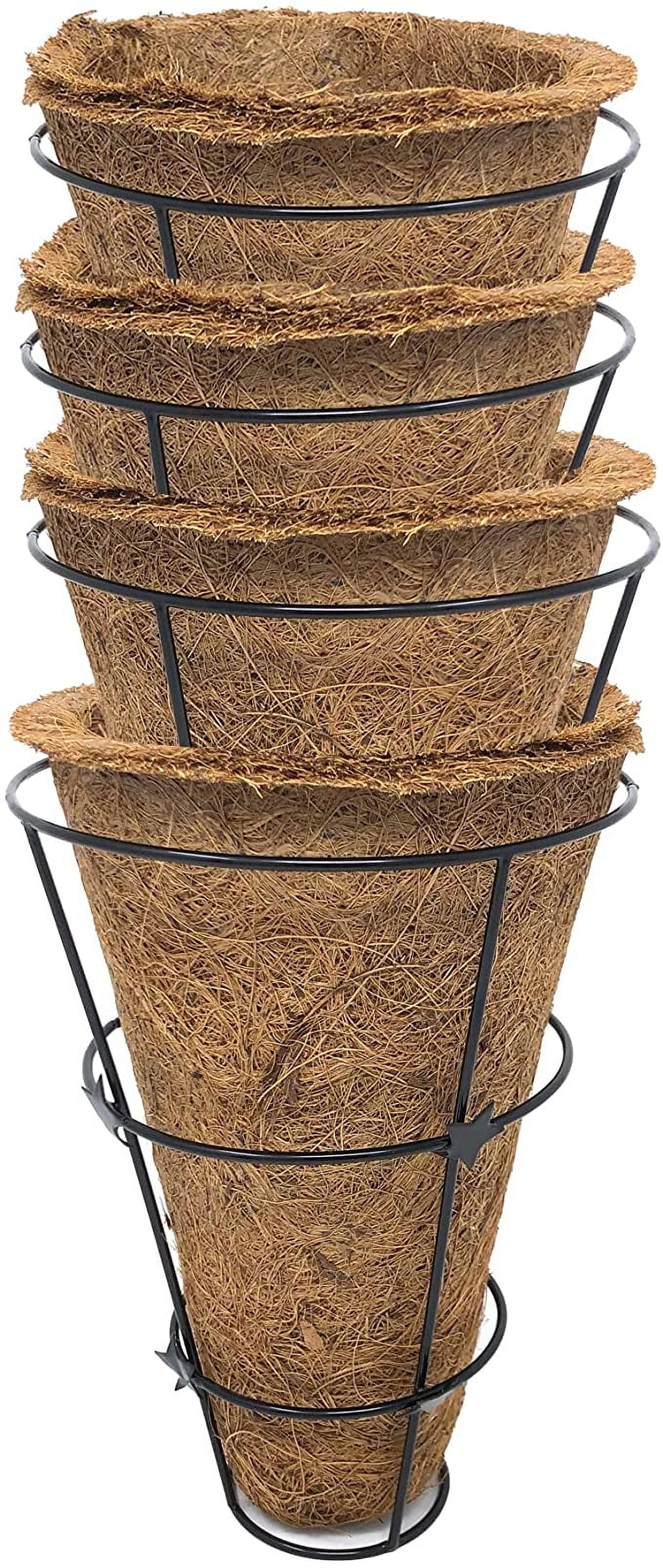 Palm Naki Conical Coconut Coir Planter Basket Set of 4 - Coco Coir ...