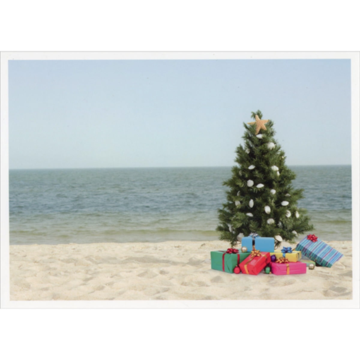 Palm Press Tree and Presents on Sandy Beach Photo Box of 10 Warm ...