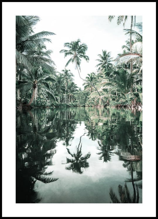 Palm Reflection Poster Wall Art, Modern Wall Decor For Living Room ...