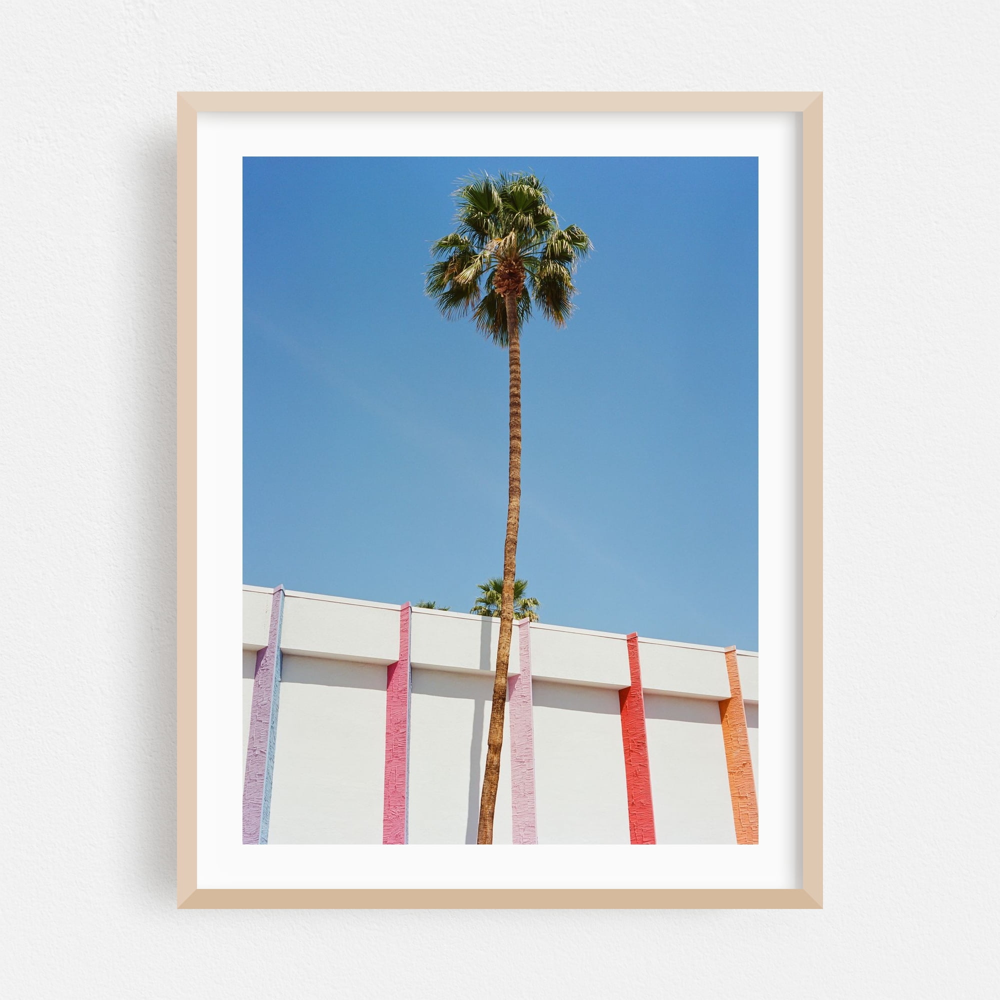 Palm Springs - Palm Springs California Photography Palm Tree Minimalist ...