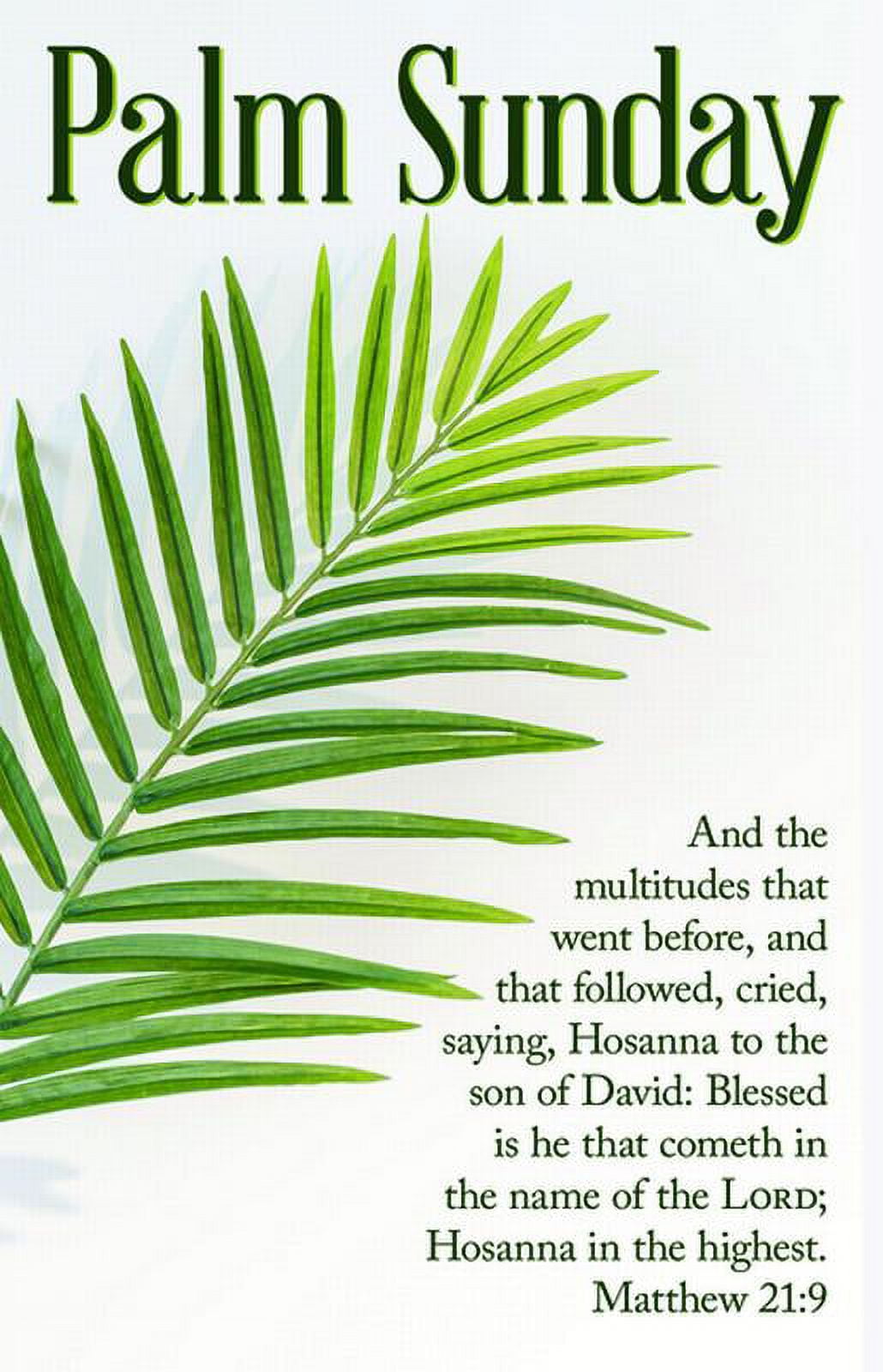 Palm Sunday Bulletin: All Glory (Package of 100): Matthew 21:9 (Kjv ...