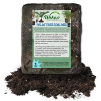 Cactus and Succulent Soil Mix 20 Quarts - Custom Soil Blend Potting Mix ...