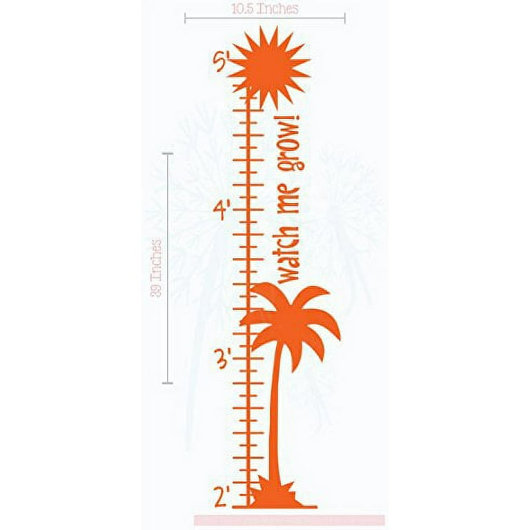 Palm Tree Growth Chart Palms Dimensions & Drawings | Dimensions.com