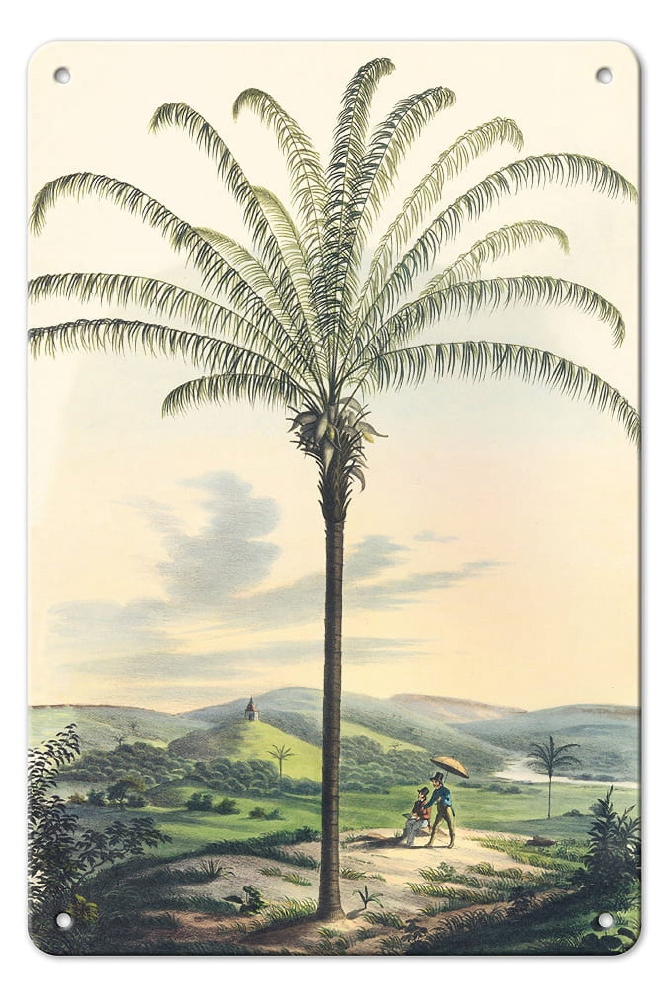 Palm Tree - South Rio de Janeiro - Vintage Botanical Illustration by ...