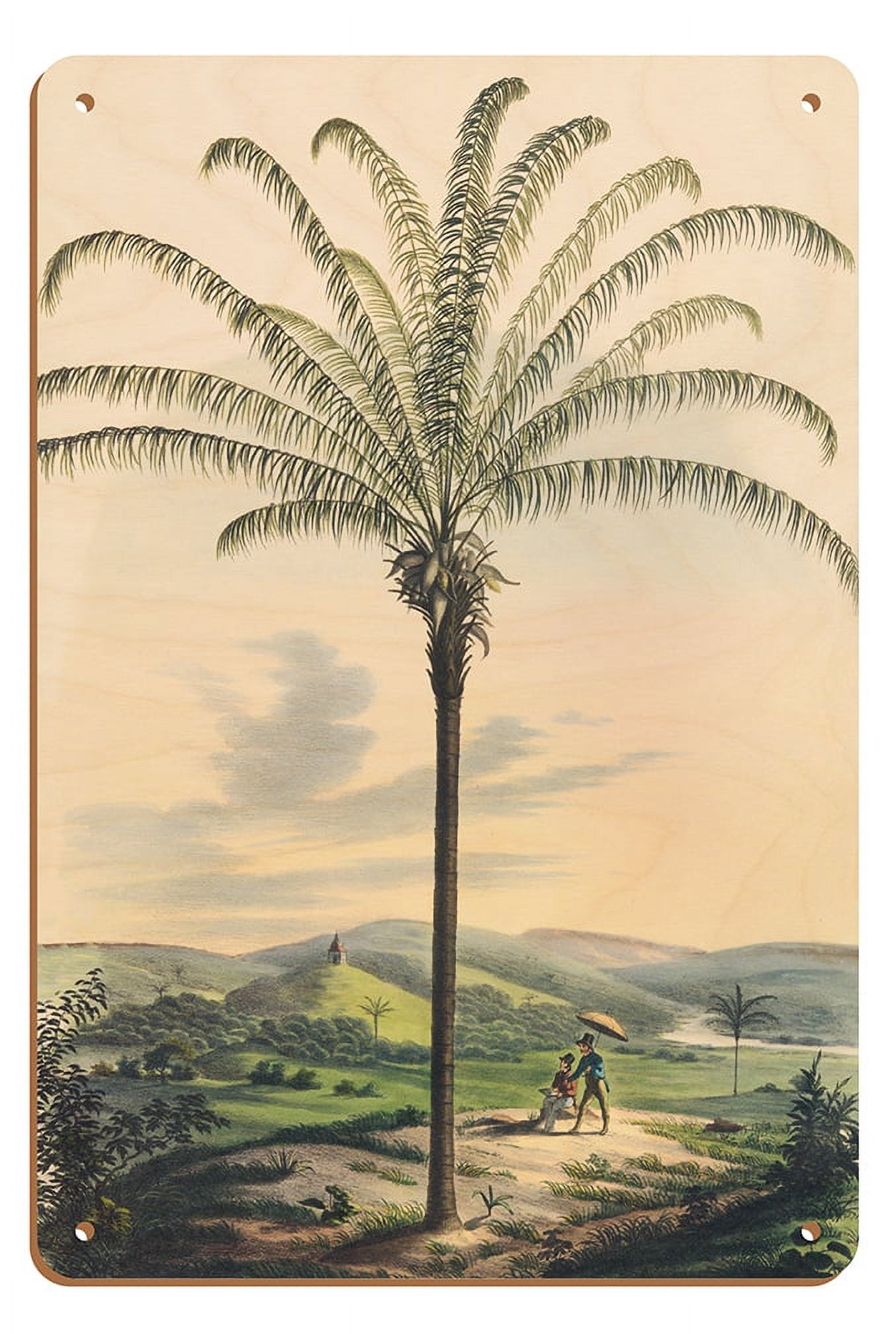 Palm Tree - South Rio de Janeiro - Vintage Botanical Illustration by ...