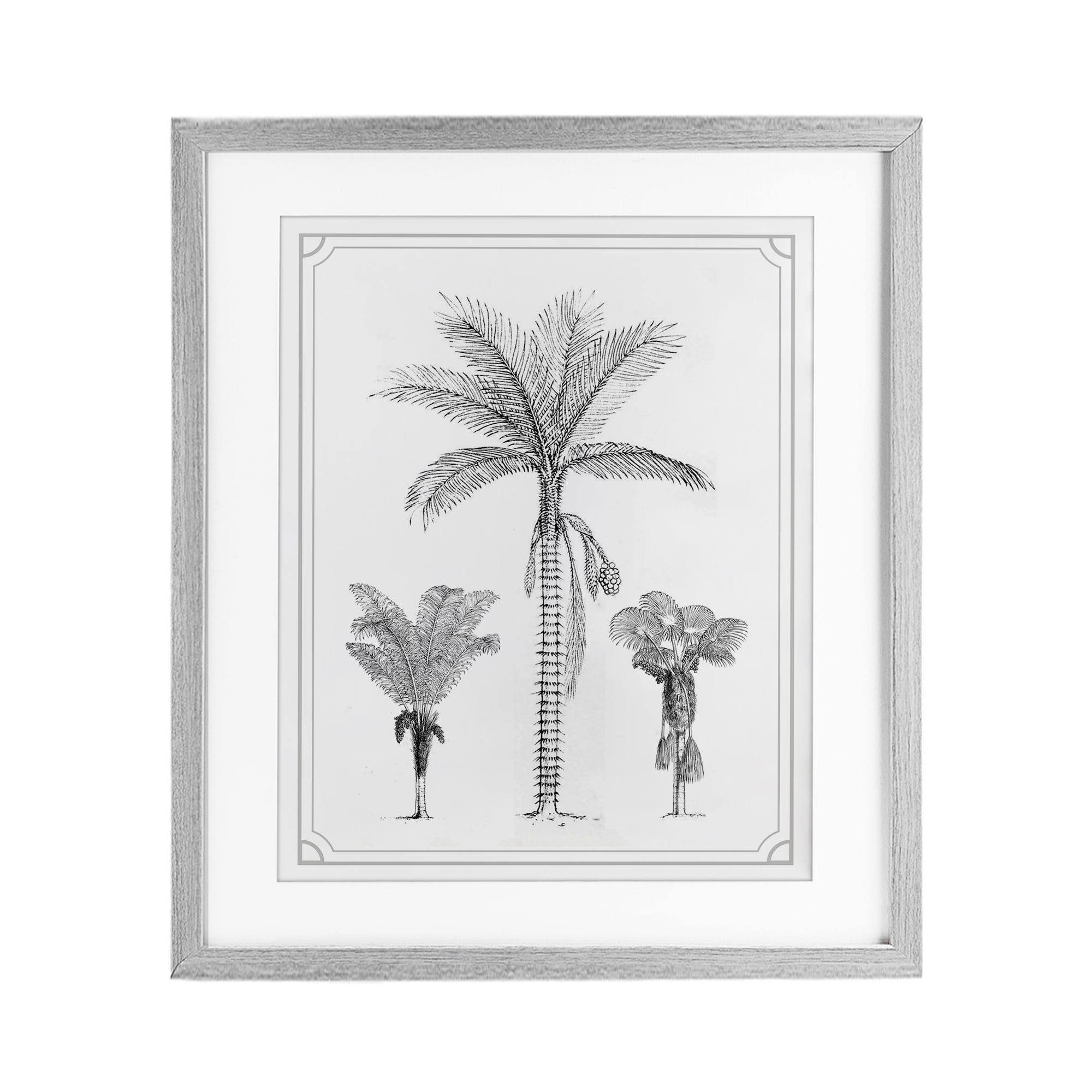 Palm Tree Trio Sketches Gray Framed Print Under Glass, design by ...