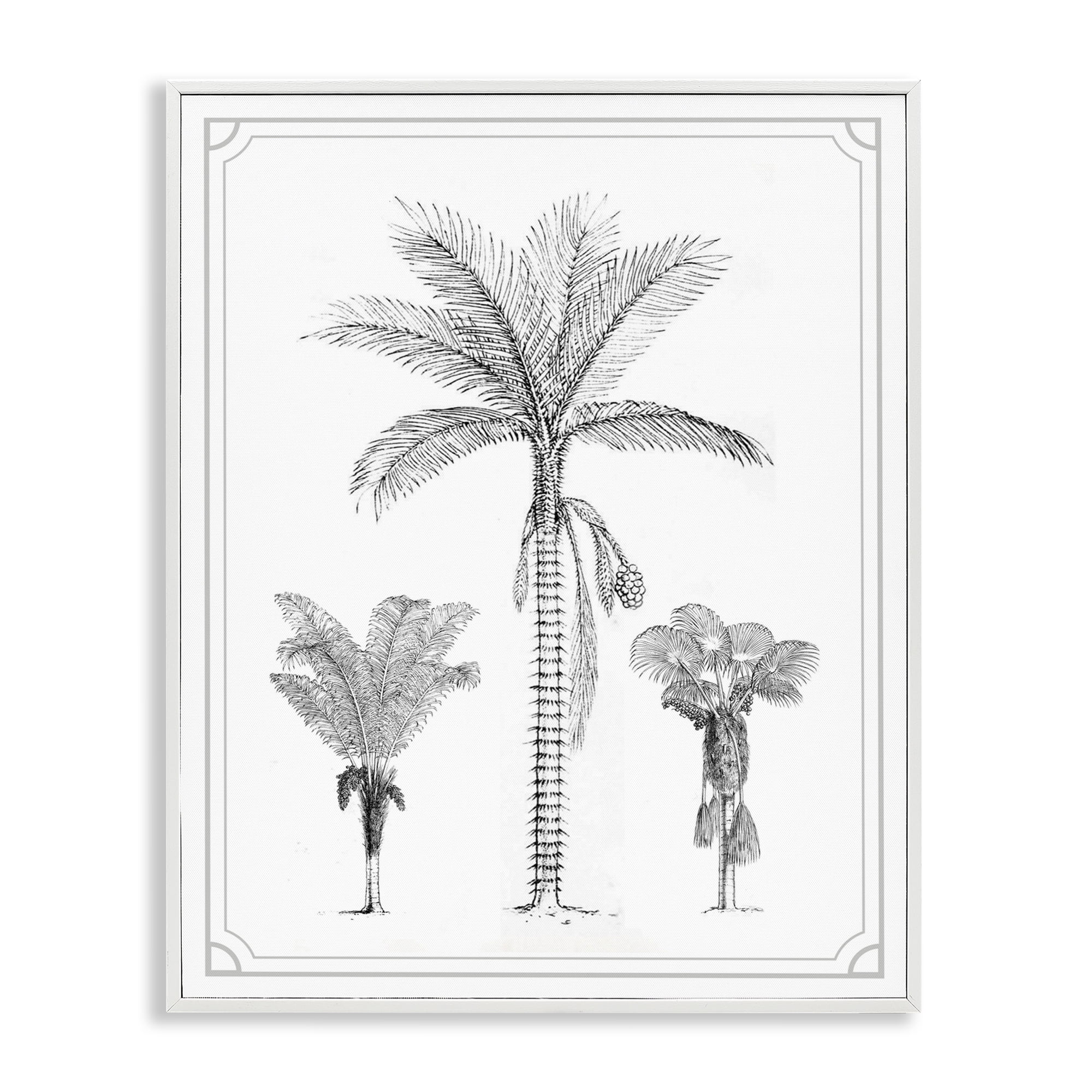 Palm Tree Trio Sketches White Framed Giclee Art, design by Lettered and ...