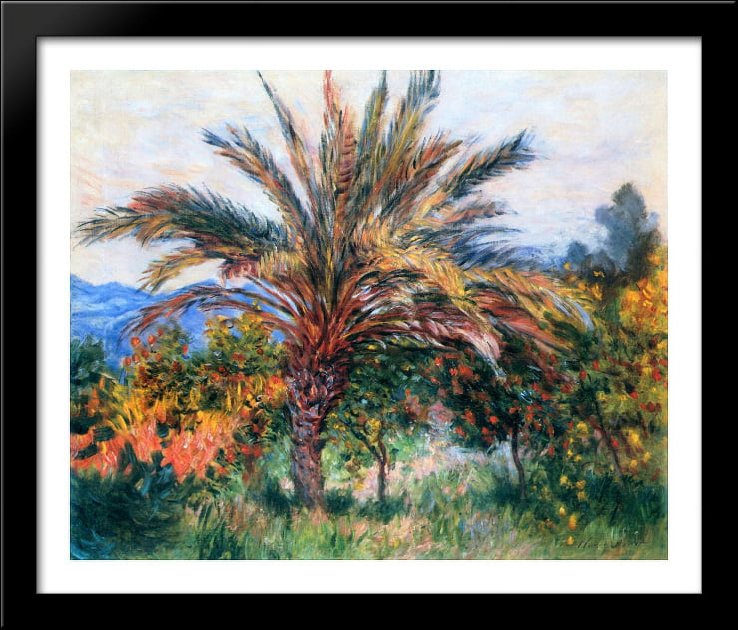 Palm Tree at Bordighera 34x28 Large Black Wood Framed Print Art by ...