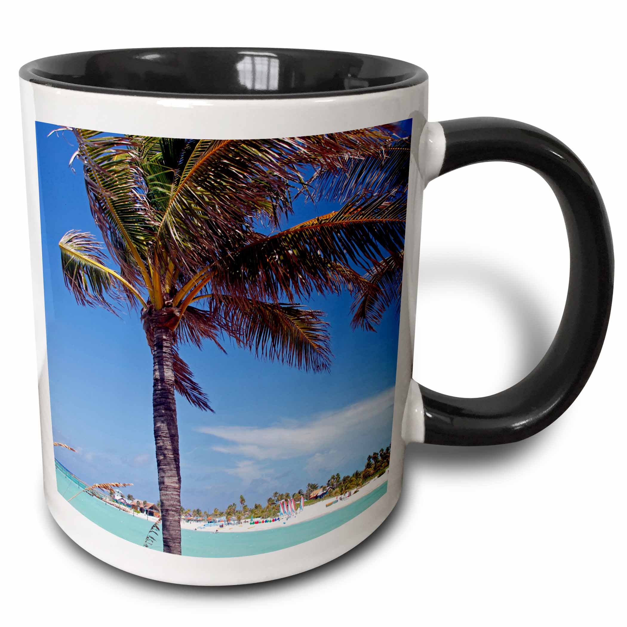Palm Tree of Castaway Cay, Bahamas, Caribbean - CA05 KWI0000 - Kymri ...