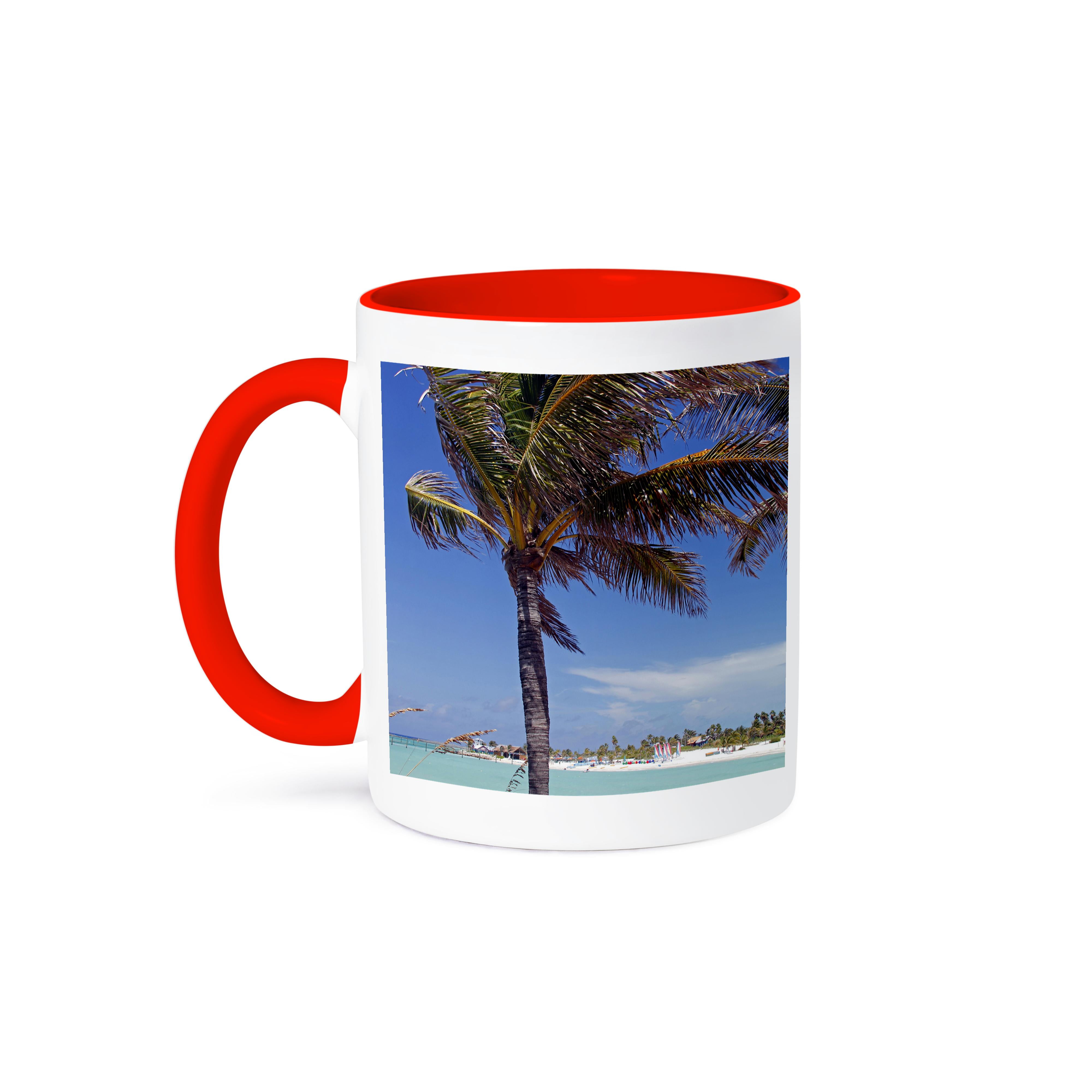 3dRose, Palm Tree of Castaway Cay, Bahamas, Caribbean - CA05 KWI0000 ...