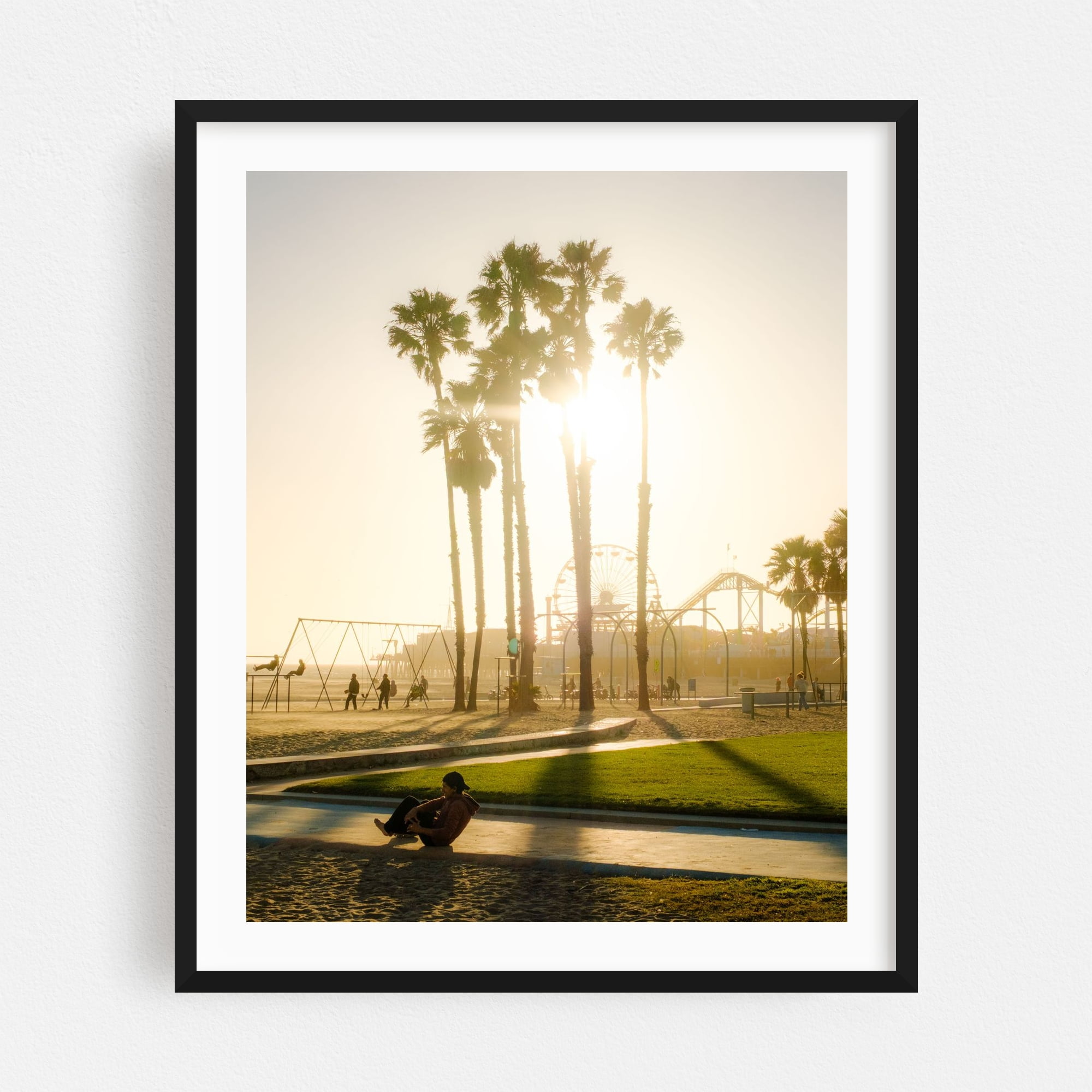 Palm Trees at Muscle Beach, Santa Monica - Santa Monica California ...